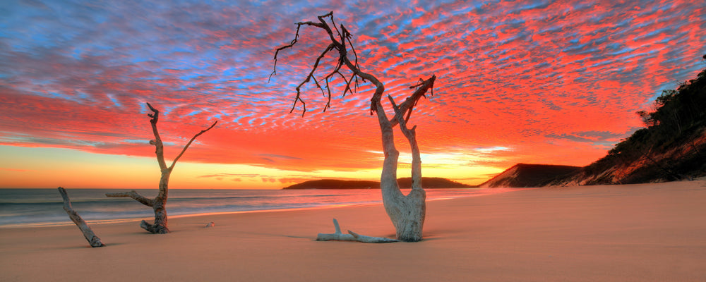 Fraser Coast – Adam Gormley Photography