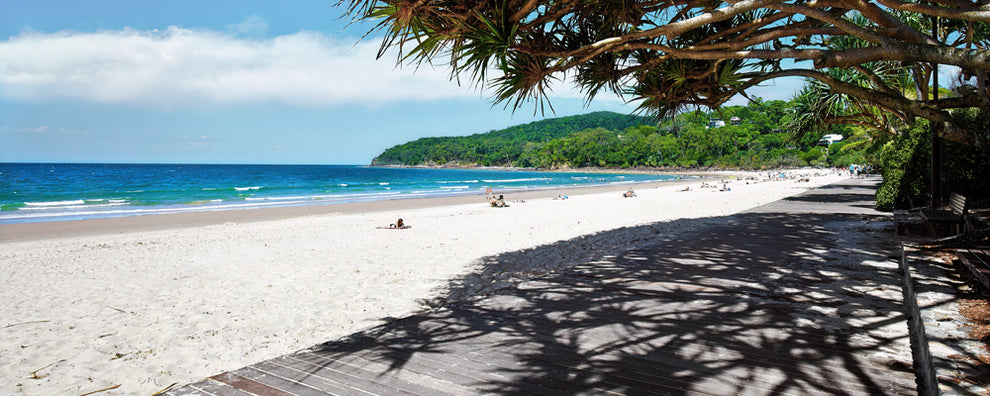 Noosa Boardwalk – Adam Gormley Photography